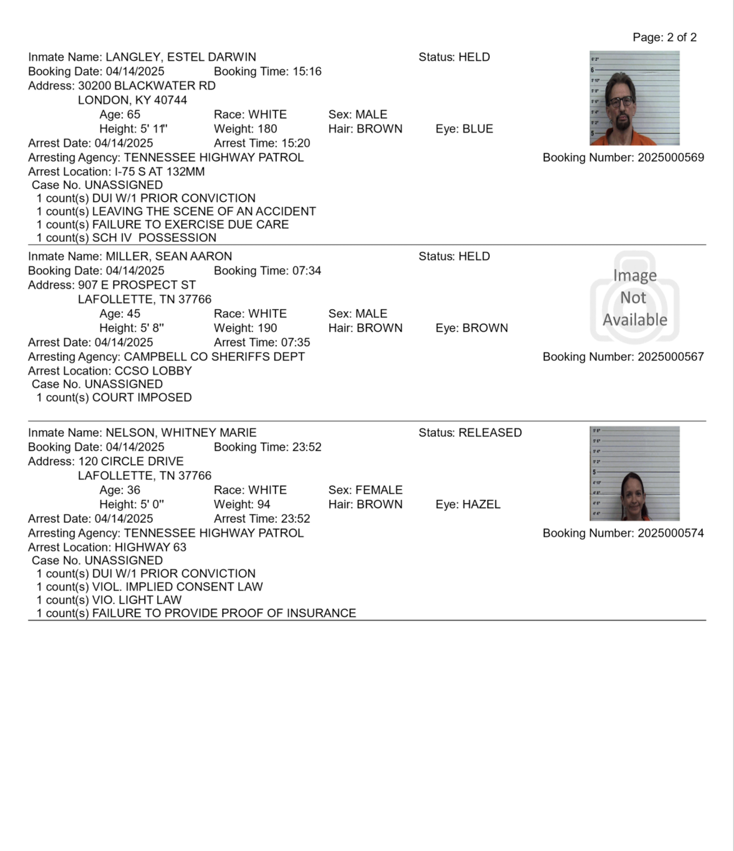 7 Names on Tue., Apr. 15, 2025, B.C. Bonding Arrest Report - WLAF