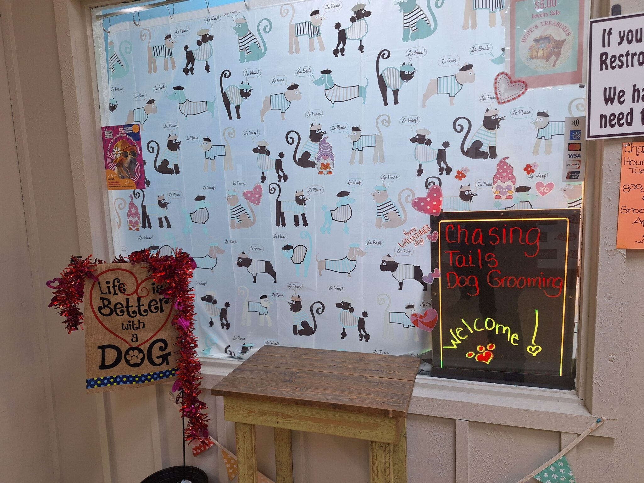 Chasing Tails Grooming is WLAFâ€™s Business of the Week - WLAF