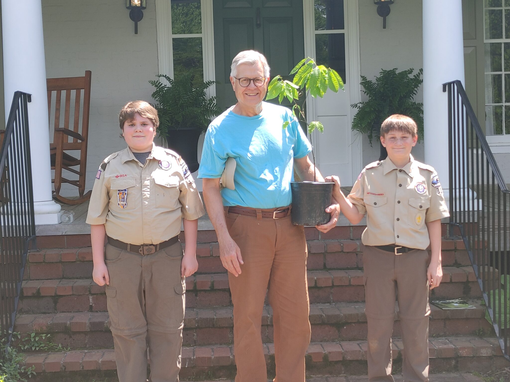Reintroducing history as the American Chestnut returns - WLAF