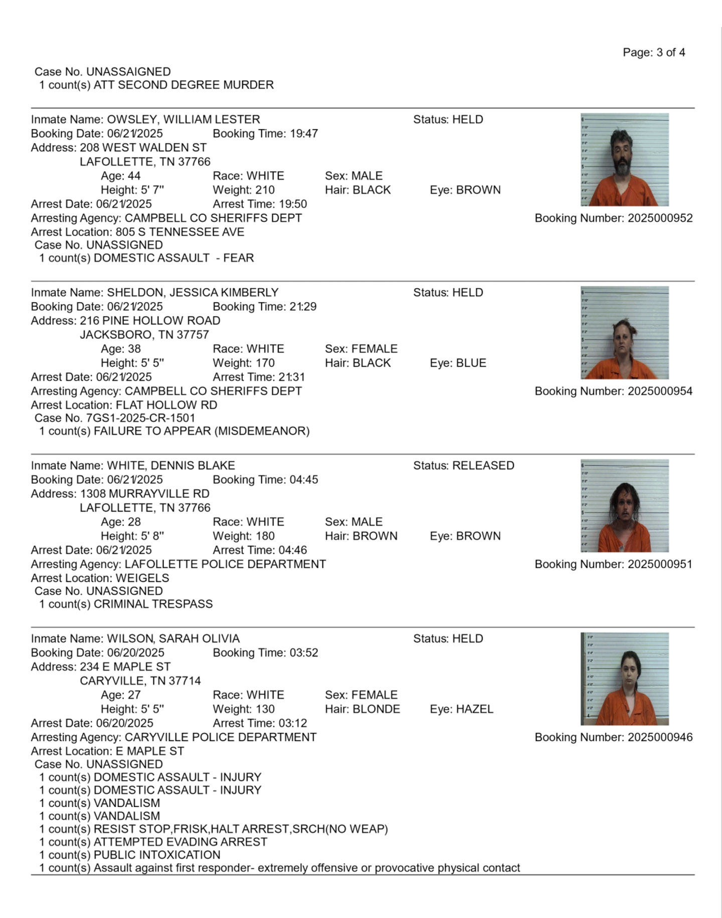 14 Names on Mon., June 23, 2025, B.C. Bonding Arrest Report. B.C. Bonding 423-563-0065 - WLAF