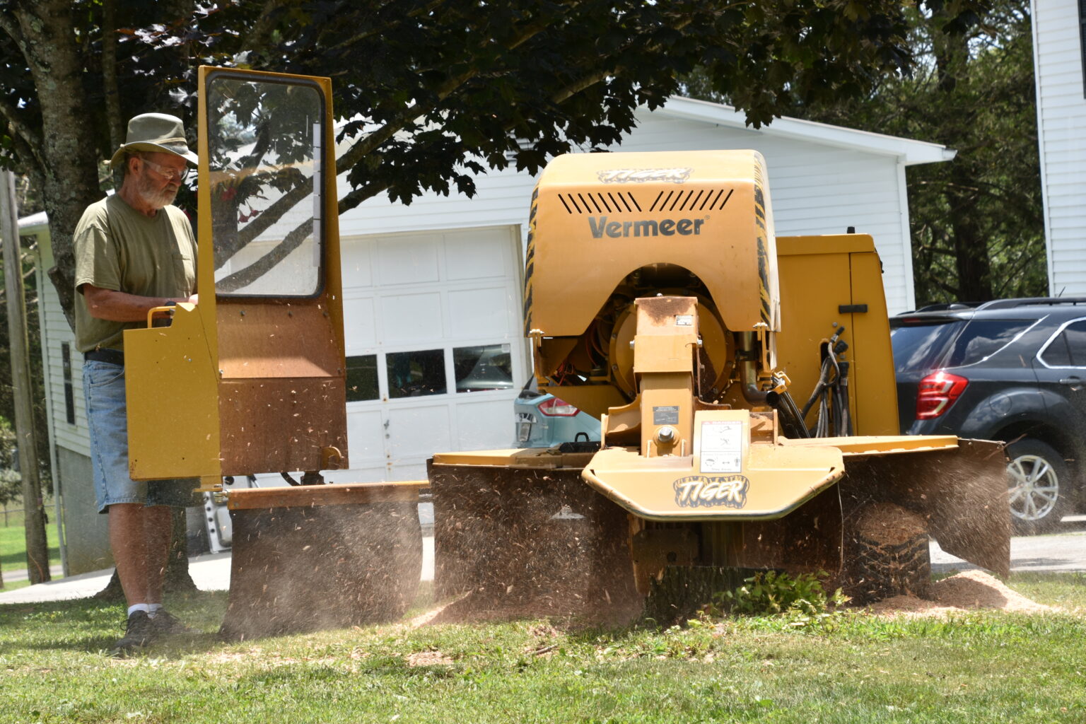 Tiger turns angry when he’s uncaged around tree stumps - WLAF
