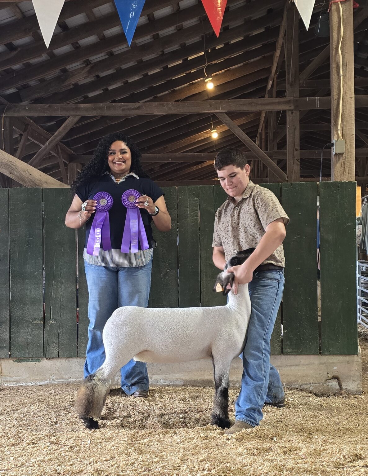 Youngsters show sheep, come away with big prizes - WLAF