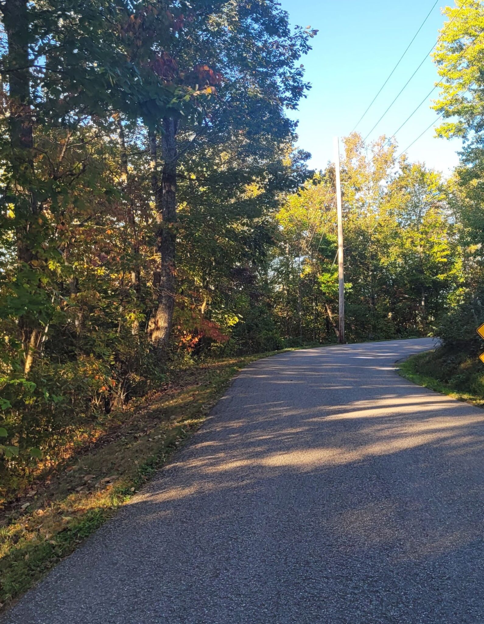 Citizen voices opposition to Shanghai development – WLAF