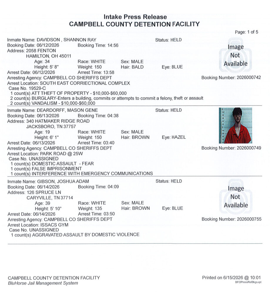 18 Names on Mon., June 15, 2026, B.C. Bonding Arrest Report. B.C ...