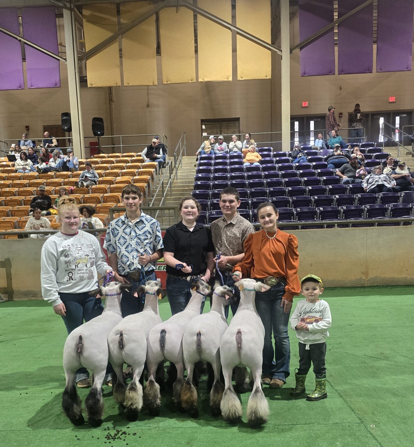 Big weekend for Campbell Countians at Sheep Expo – WLAF